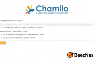 Comment Chamilo LMS booste la fluence avec son outil de compréhension à la lecture ? | BeezNest