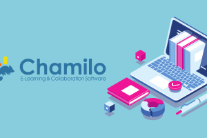 Why is the Chamilo package so big? | BeezNest